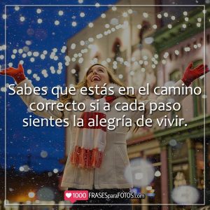 60 Frases para Fotos de Viajes y Paisajes Mirando al Horizonte 【 Super ...